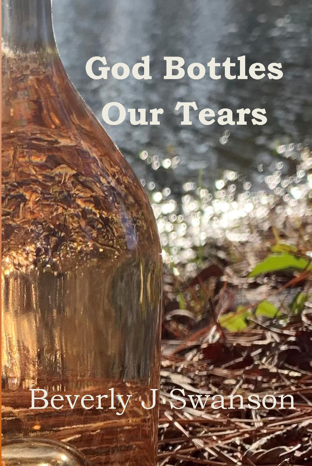 Non-Fiction – Bev Swanson Books